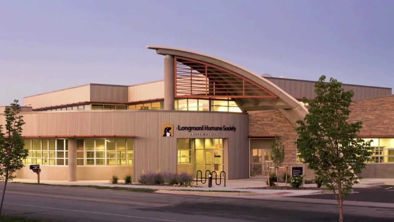 Longmont Humane Society - Photo Tour by Animal Arts Design - YouTube