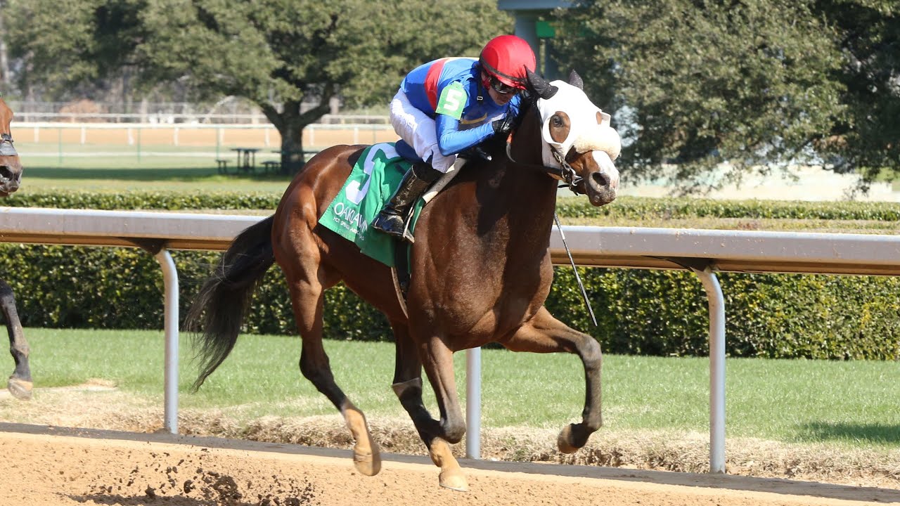 Tyler Bacon: Building a Path to Success at Oaklawn - YouTube