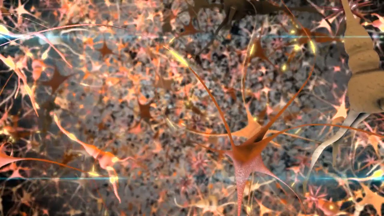 brain and neurons Free HD Stock Footage 5 - YouTube