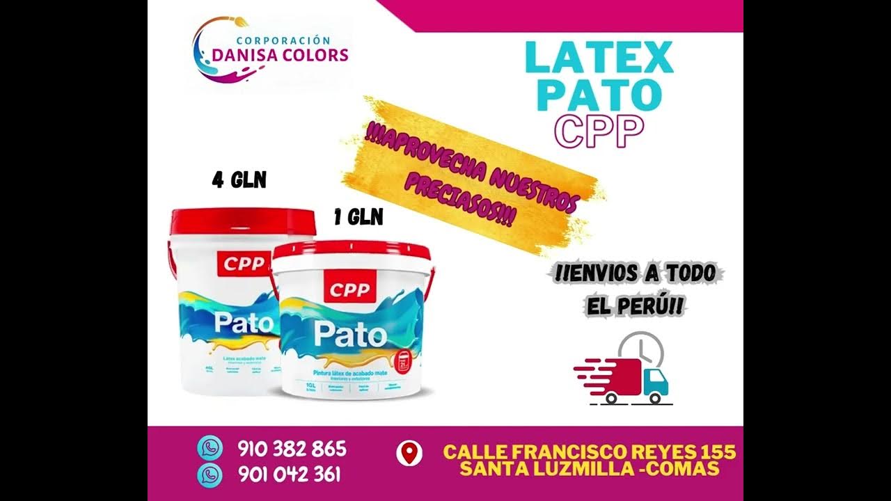LATEX PATO CPP🤗🤗 - YouTube