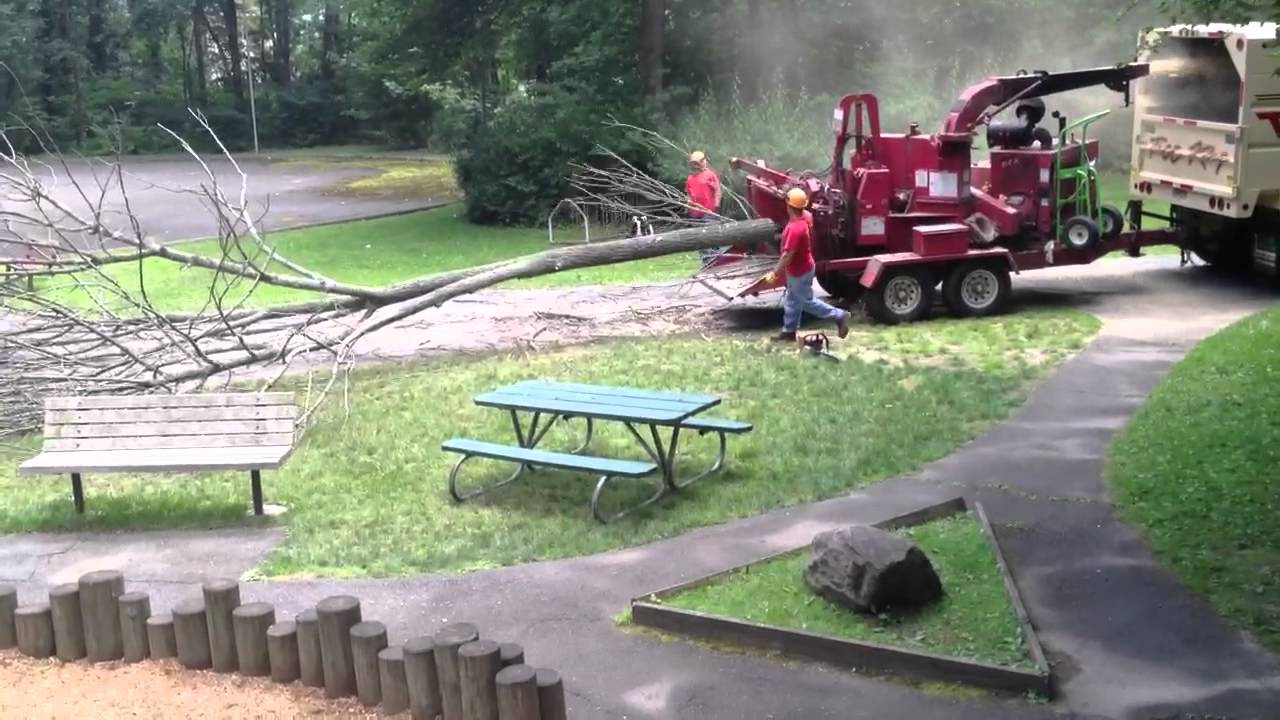 Wood Chipping a Big Branch - YouTube