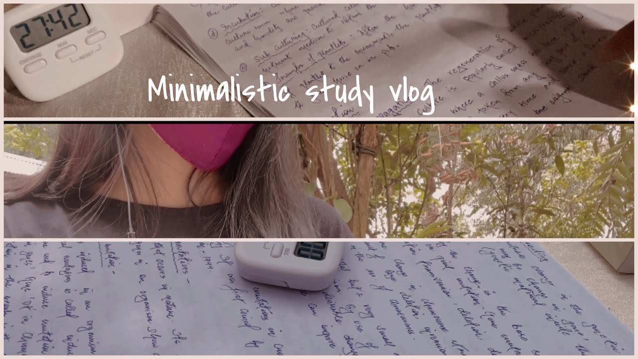study vlog | study time-lapse for quick motivation | Indian study vlog ...