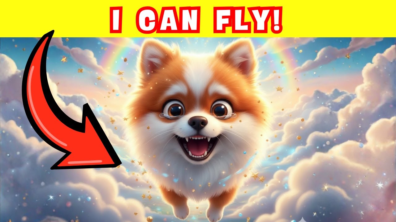 The Flying Leo Spitz! 🐶 ️ - YouTube