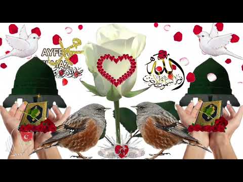 HAYIRLI AKŞAMLAR MESAJLARI İLÂHLI AKŞAM MESAJI EN GÜZEL AKŞAMLARI SELÂM VE DUA İLE