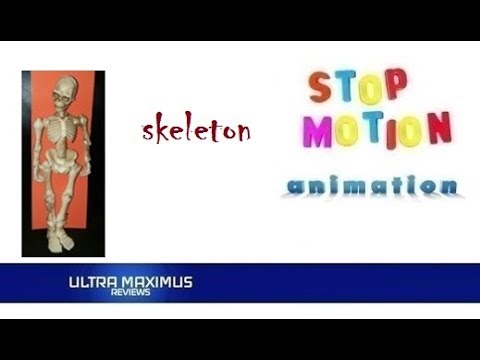 Skeleton Stop Motion Animation - YouTube