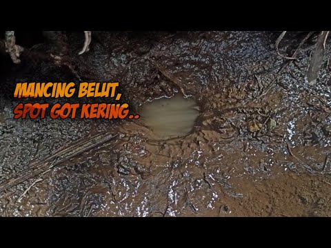 Penampakan belut sawit, baru masukin mancing langsung crot suaranya.