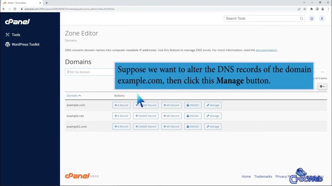How to edit or delete a Record in cPanel using the DNS Zone Editor - CrocWeb Cloud - YouTube