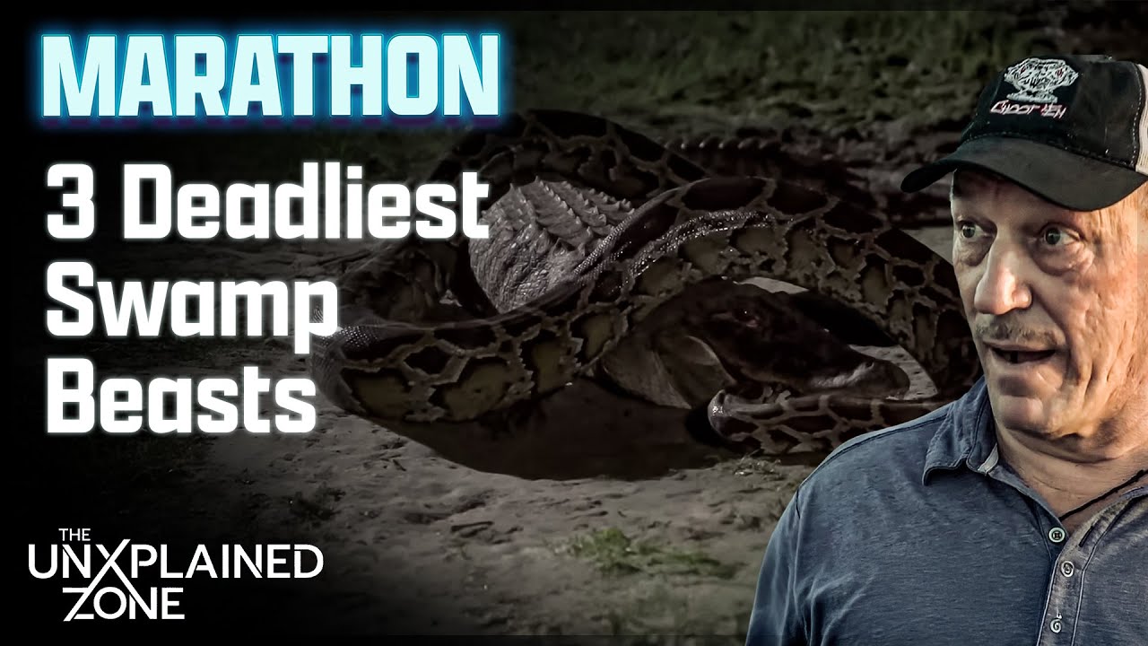 TOP 3 MASSIVE SWAMP BEASTS | Marathon | Swamp Mysteries with Troy ...