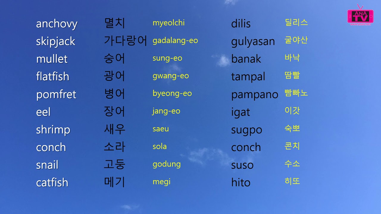 Market (fish) 시장(생선) merkado(Isda) - YouTube