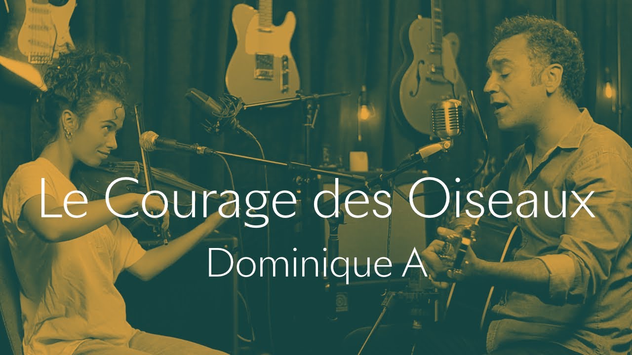 RAW COVER #19 - Le Courage des Oiseaux - Feat. Elisa Moroldo-Fizet ...