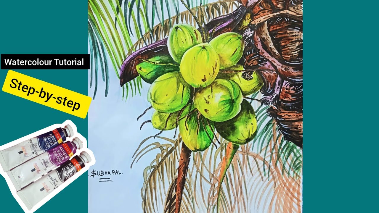 Coconut tree drawing with watercolour # how to draw realistic cocoanut ...