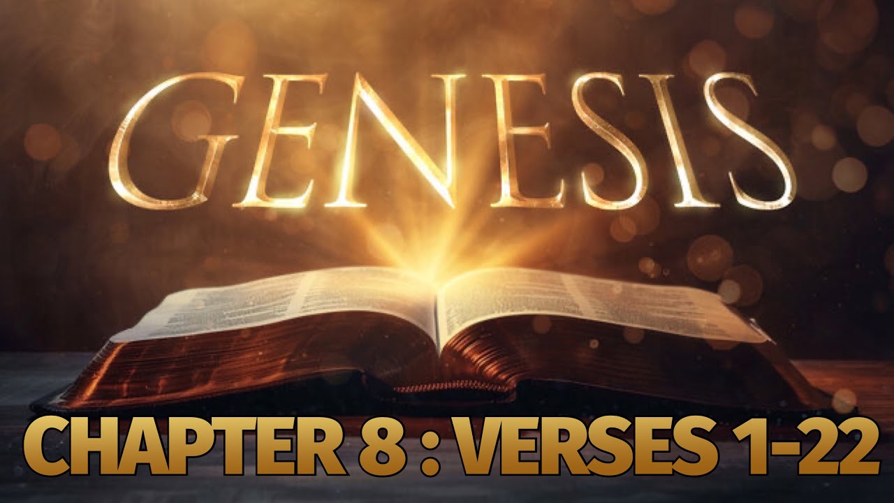 GENESIS : CHAPTER 8 VERSES 1-22 - YouTube