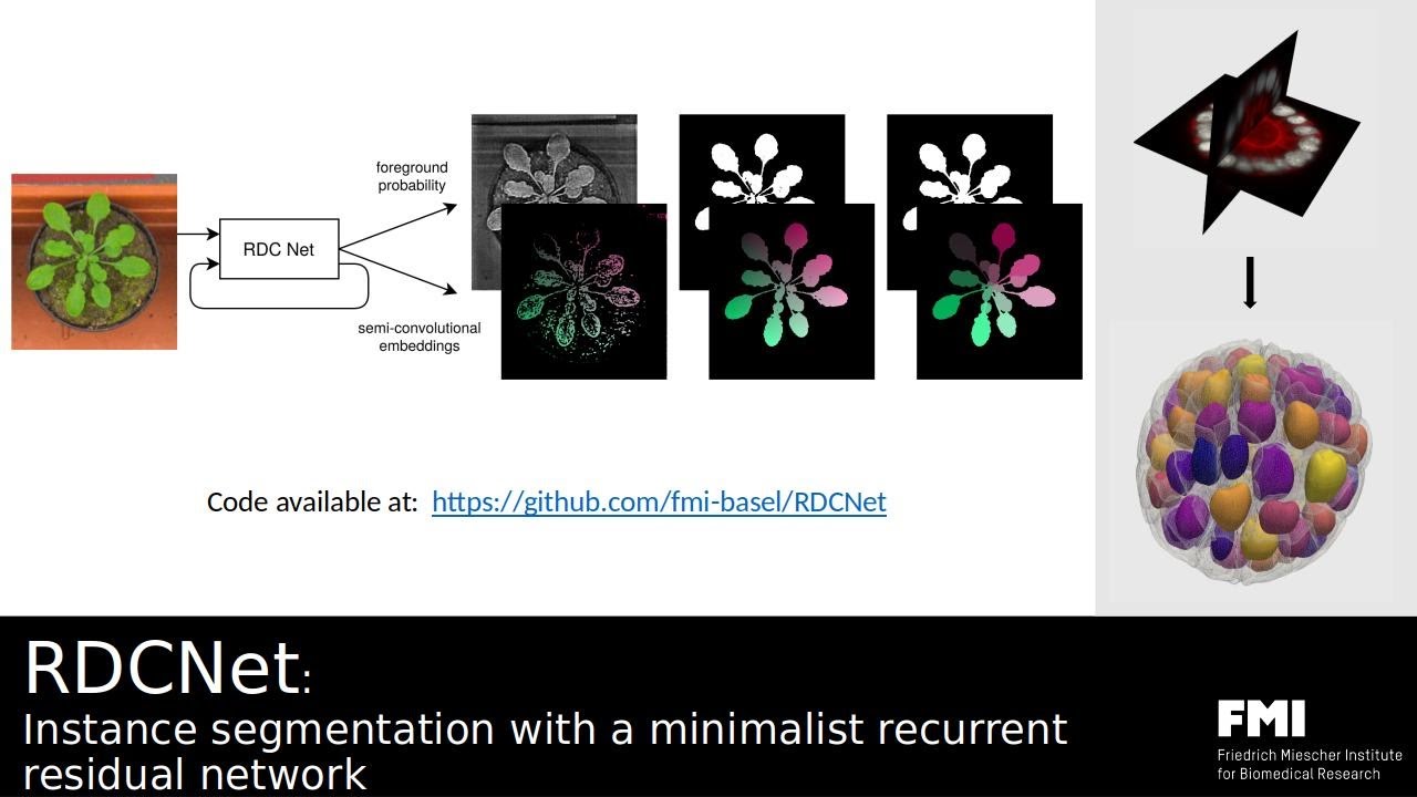 RDCNet: Instance segmentation with a minimalist recurrent residual network - YouTube