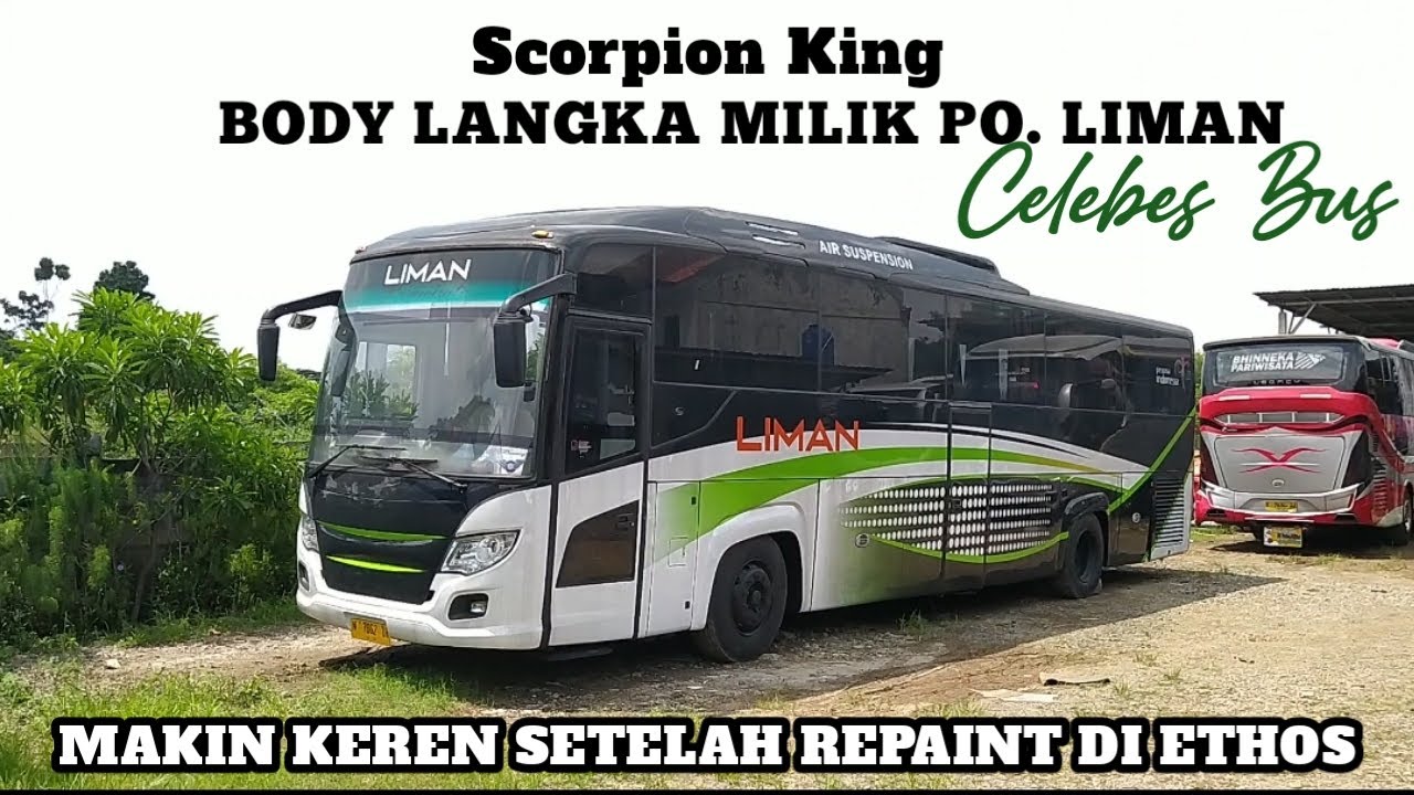 BODY LANGKA SCORPION KING MILIK PO.LIMAN SEGERA RILIS DARI ETHOS BOGOR‼ ...