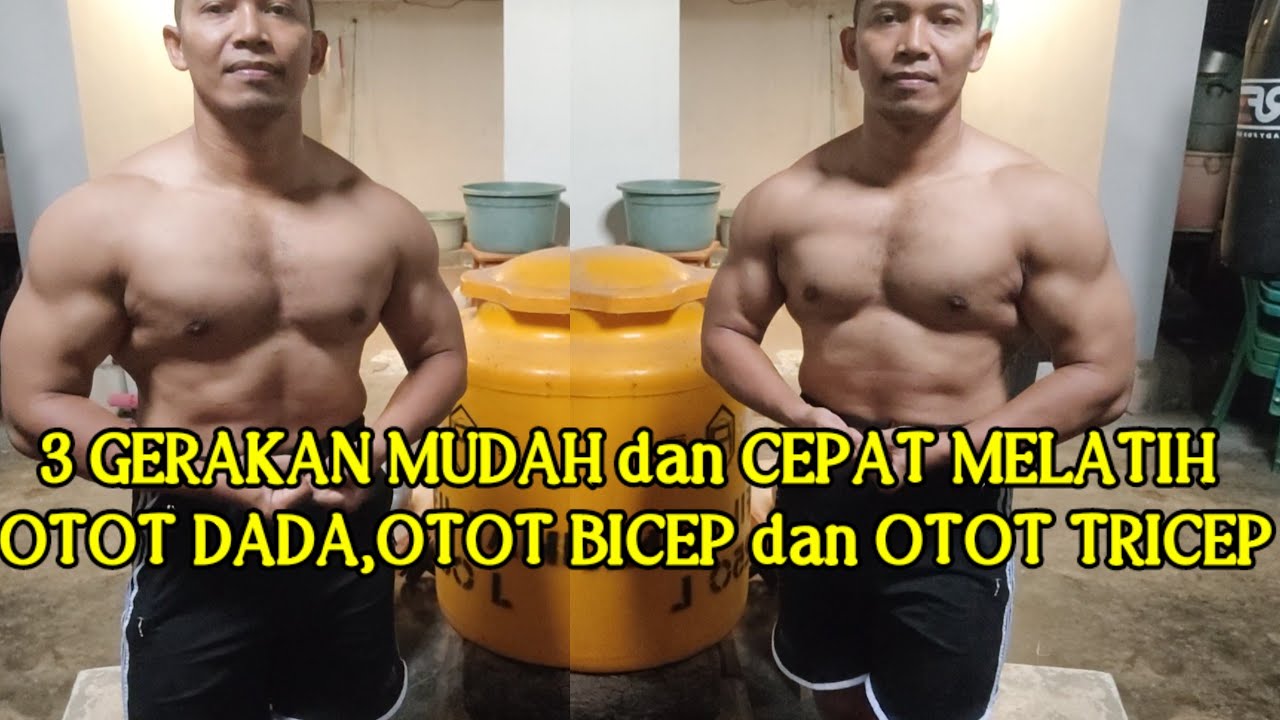 3 GERAKAN MUDAH dan CEPAT MELATIH OTOT DADA,OTOT BICEP dan OTOT TRICEP ...