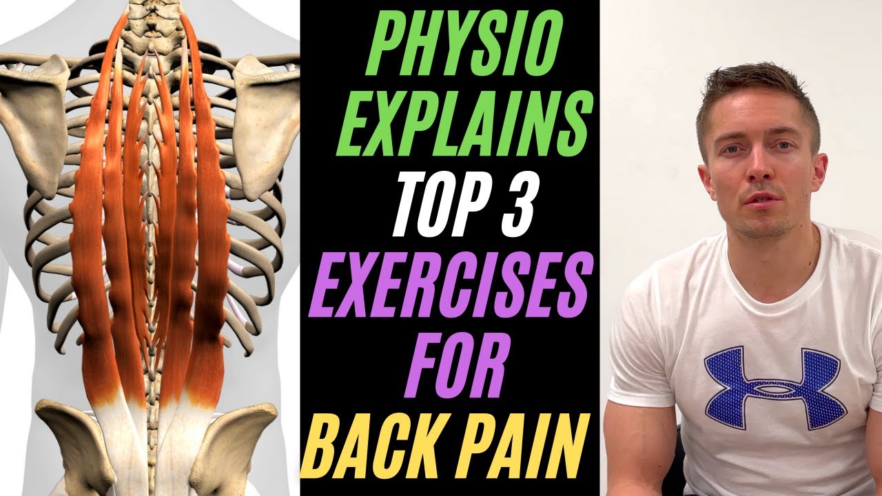 Physiotherapist Explains Top 3 Exercises For Low Back Pain - YouTube