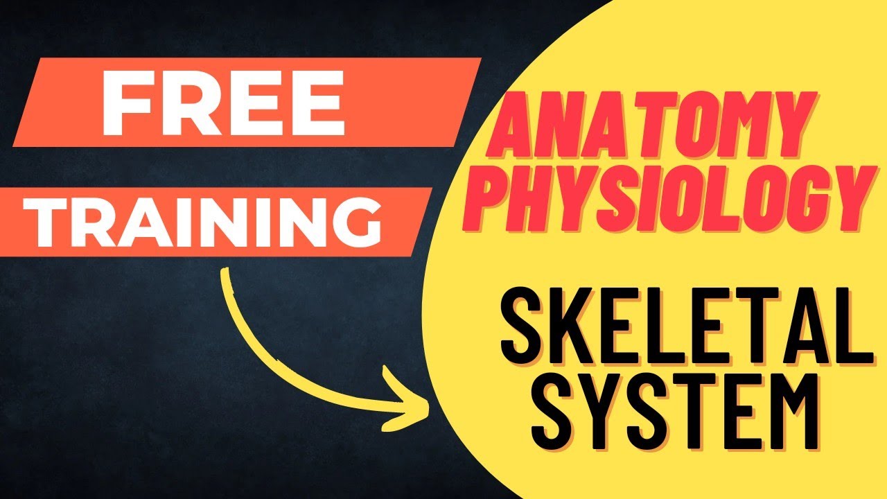 BEST FREE HUMAN SKELETAL SYSTEM COURSE || #freetraining #anatomy # ...