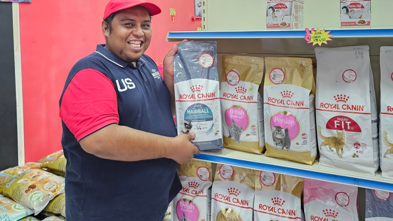 Kedai Keperluan Kucing Yang Banyak Pilihan dan Murah Di Temerloh - YouTube