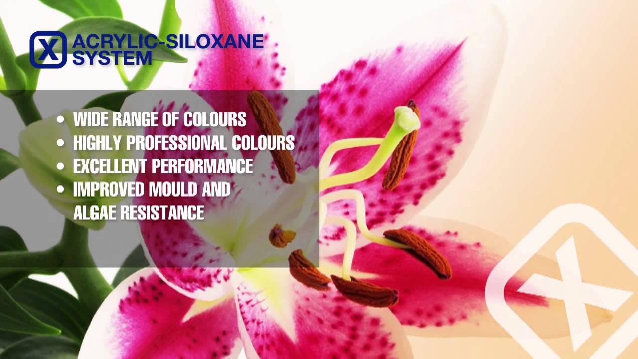 Colour System - Fassa Bortolo - YouTube