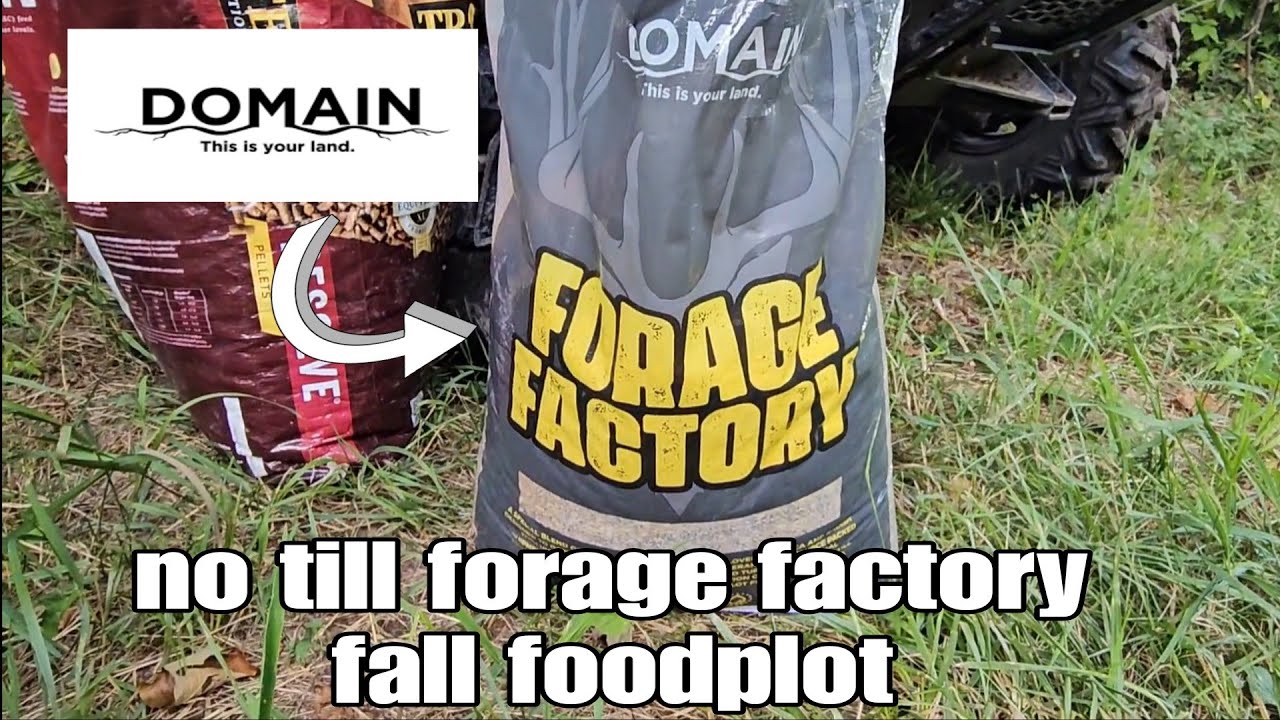 Planting DOMAIN FORAGE FACTORY!! late summer early fall no till ...