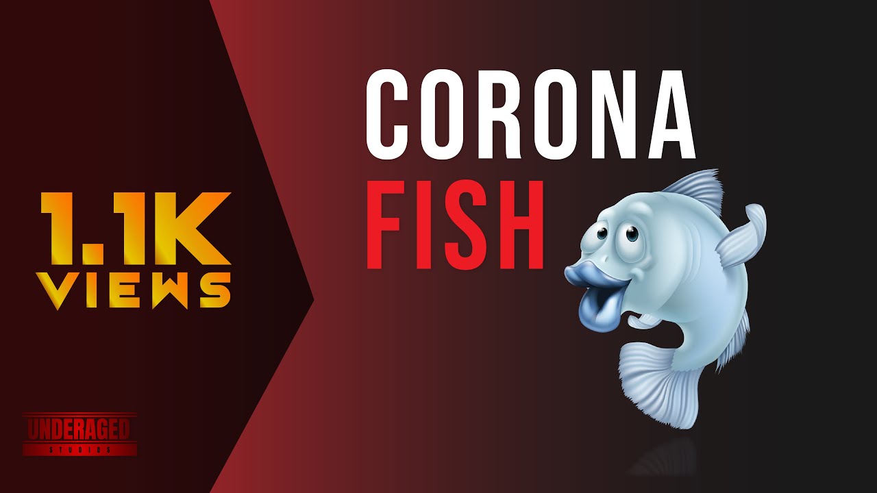 Corona Fish | UnderAged Studios - YouTube
