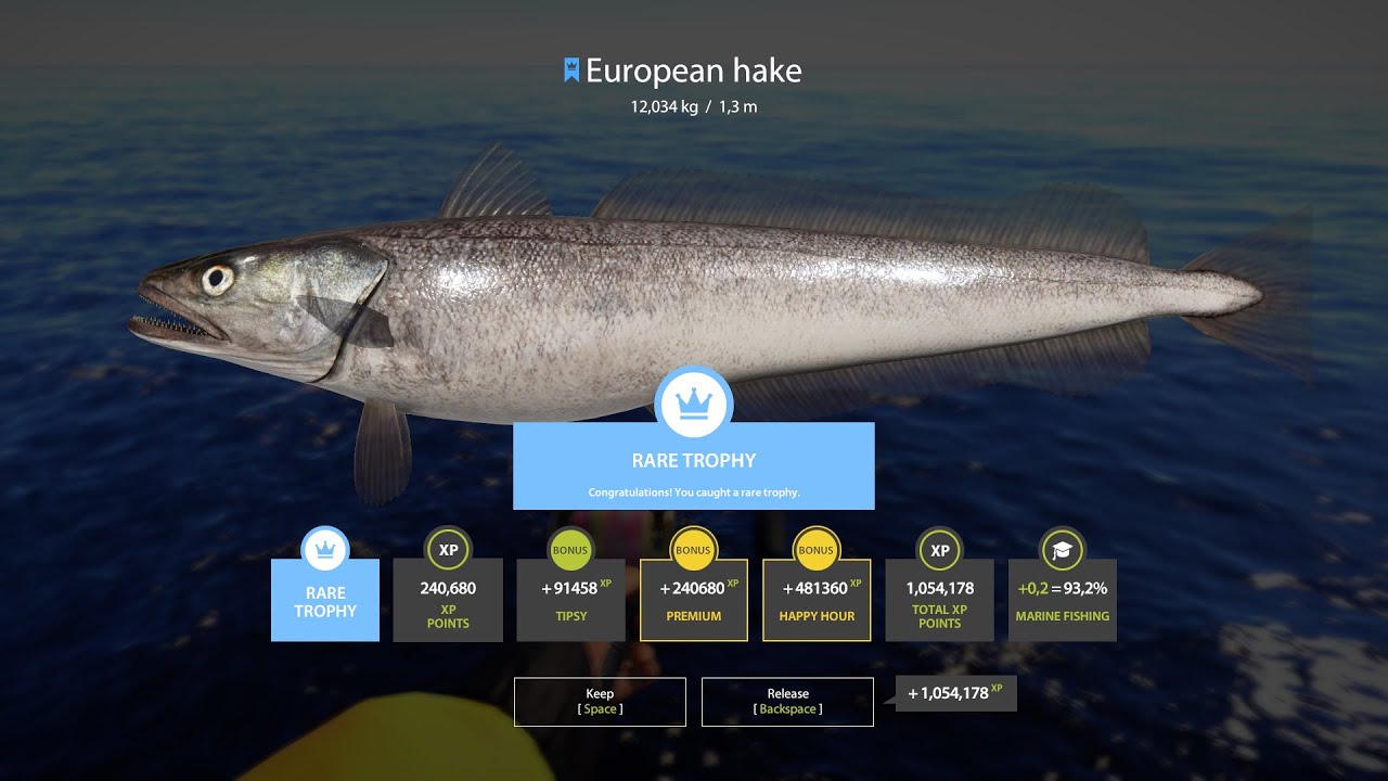 Norwegian Sea.Rare Trophy European Hake. 12,034 kg RF4 - YouTube
