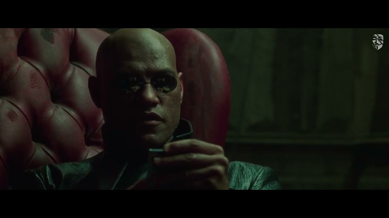 Matrix 1999 Escena de las pastillas HD 1080p - YouTube