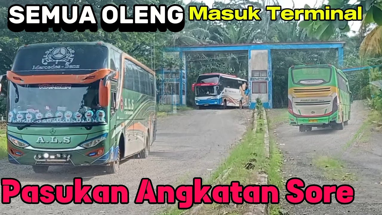 TONTONAN SERU SORE INI🔥🔥BUS OLENG-OLENG TIPIS MASUK BERGANTIAN DI ...