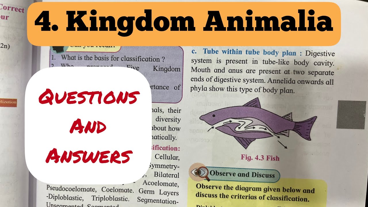 11th Std - Biology - Chapter 4 kingdom animalia questions answers ...