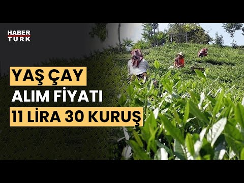 Son Dakika... Cumhurbaşkanı Erdoğan yaş çay alım fiyatını açıkladı!