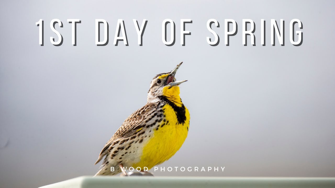 Happy First Day of Spring | Spring Equinox - YouTube