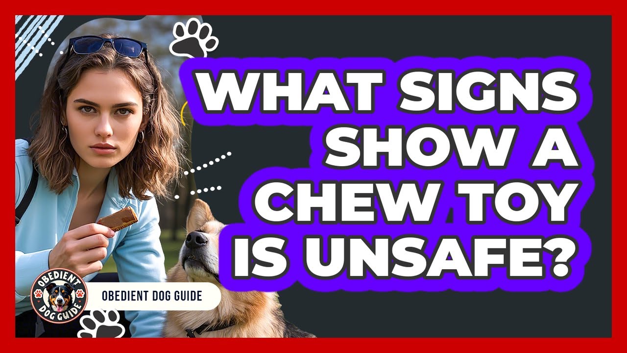 What Signs Show a Chew Toy Is Unsafe? - YouTube