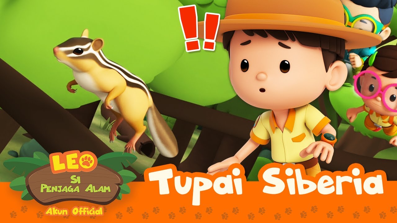 Pipi TUPAI ini bisa MELEDAK! 🌰 | Tupai Siberia | Leo Si Penjaga Alam ...