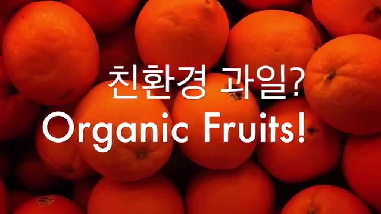 Fresh foods Saruga -1 - YouTube