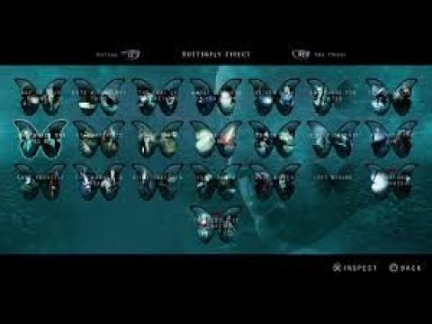 Paradox (Reverse Butterfly effect) - YouTube