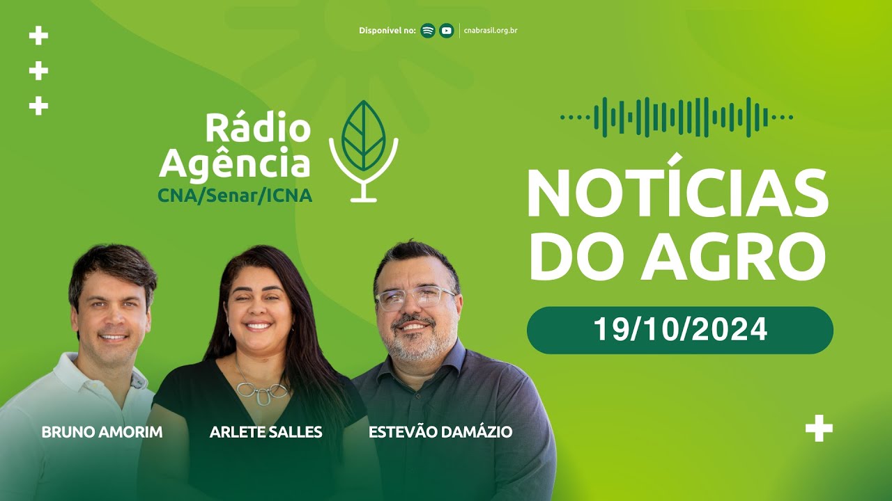 Notícias do Agro - 19/10/2024 - YouTube