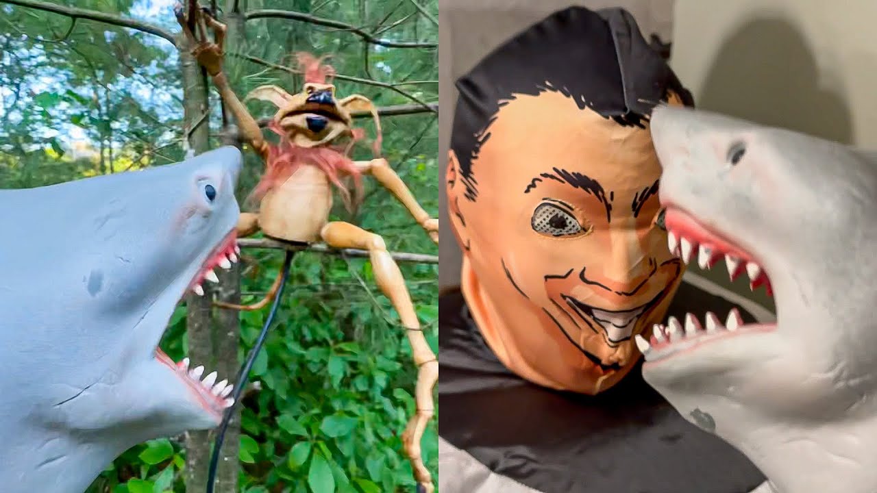 Try Not To Laugh Watching Shark Puppet TikTok | Funny Shark Puppet ...