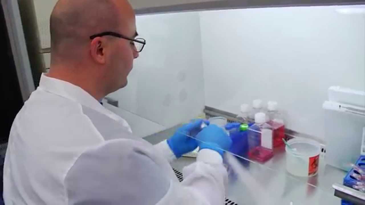 The ChemoFx Process - YouTube