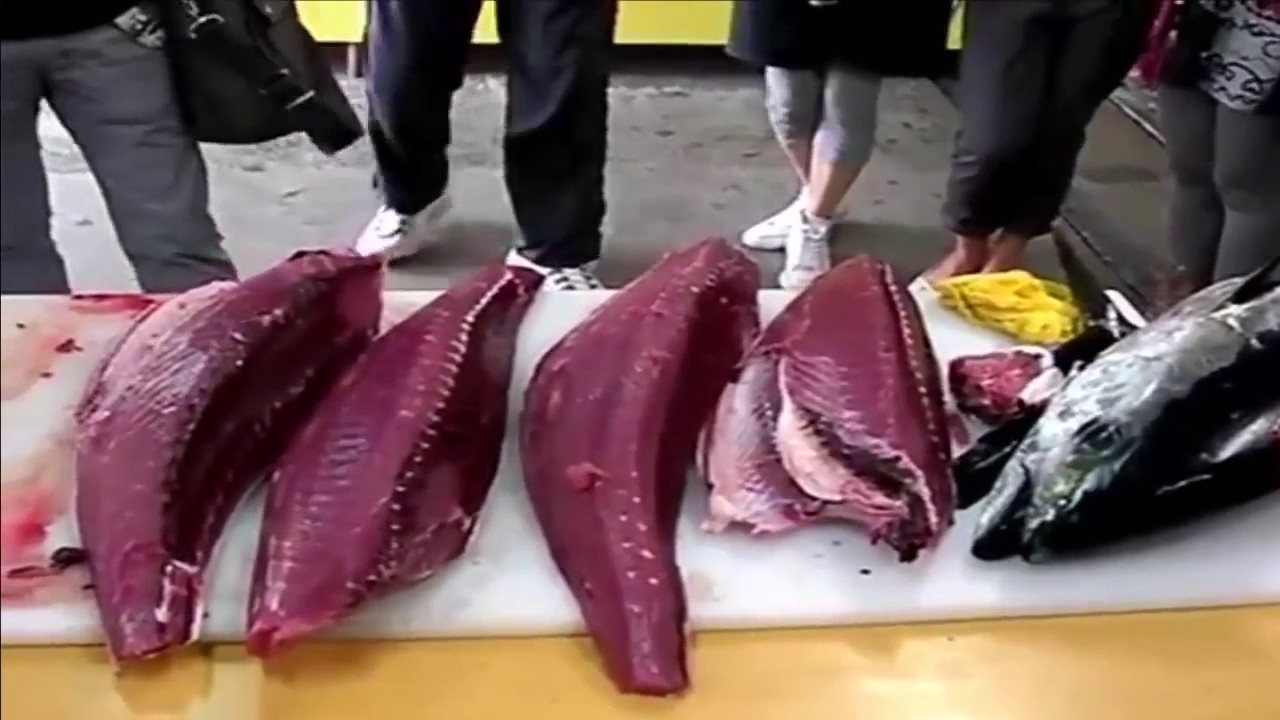 How To Cut Tuna Fish For Sushi Sashimi In Japan | Cutting Skills - 2017 ...