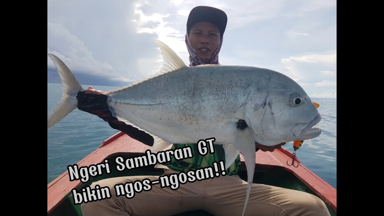 Popping di Spot Baru || Strike Mamong GT Tarikannya Edaan!!! - YouTube