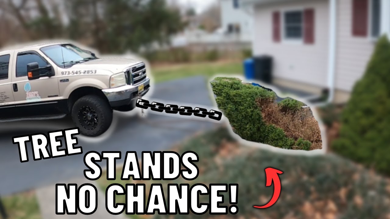 THE SPRING RUSH IS HERE! | Ripping out Bushes with a CHAIN and 7.3 ...
