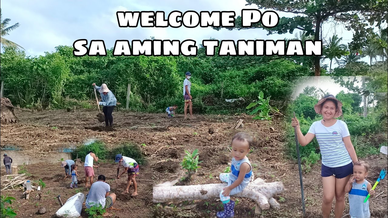Nagtanim kami Ng Kamote,saging at Gabi/ bagong taniman Vlog#417 - YouTube