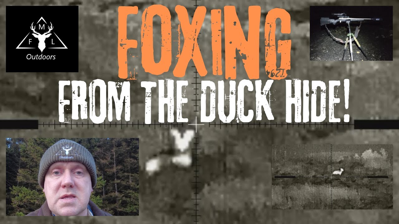 MFL Outdoors - Fox Control || Night Shooting using Infiray Thermal ...