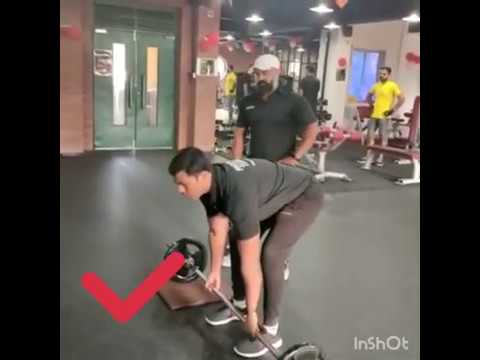What is the correct form of Deadlift - T-Rex Fitness Factory ( Best Gym ...
