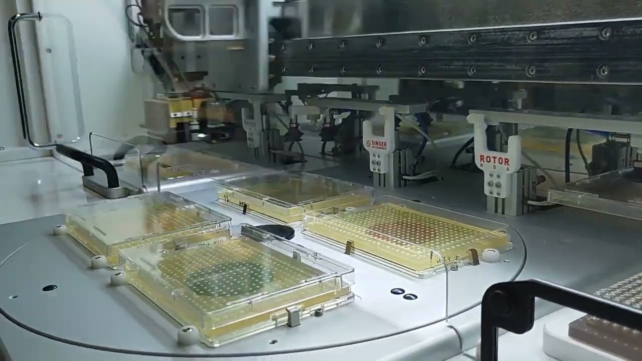 High-throughput proteomic screening at the Ralser Lab - YouTube