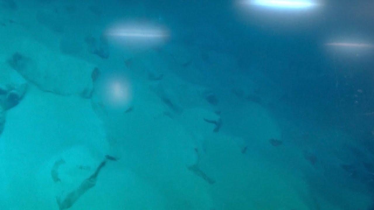 Marianas Trench Ocean Floor