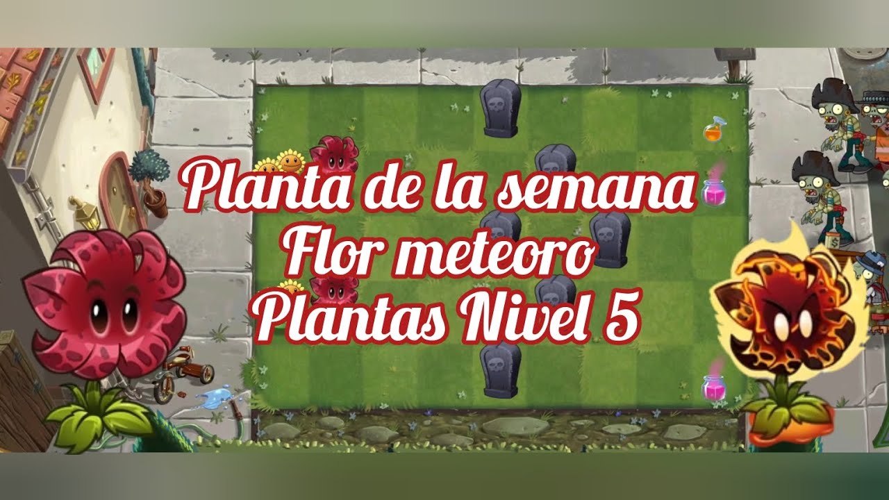 Planta Semanal "Flor meteoro"(Pvz 2) Niveles completos - YouTube