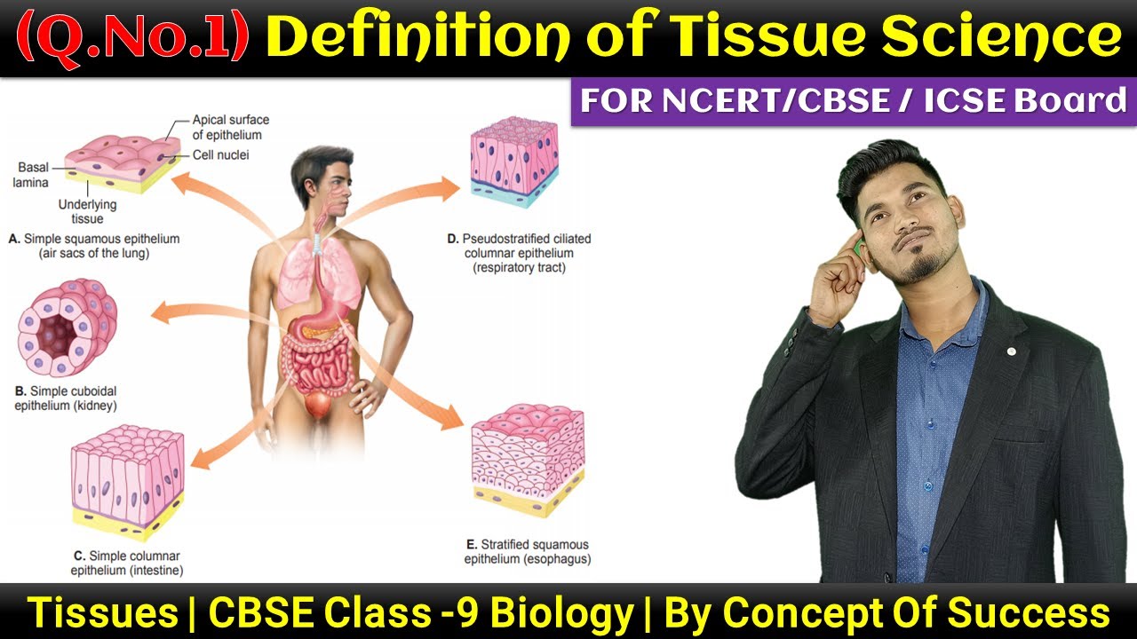 Q. No. 01 | Definition of Tissue | Science - Tissue Class 9 Biology ...