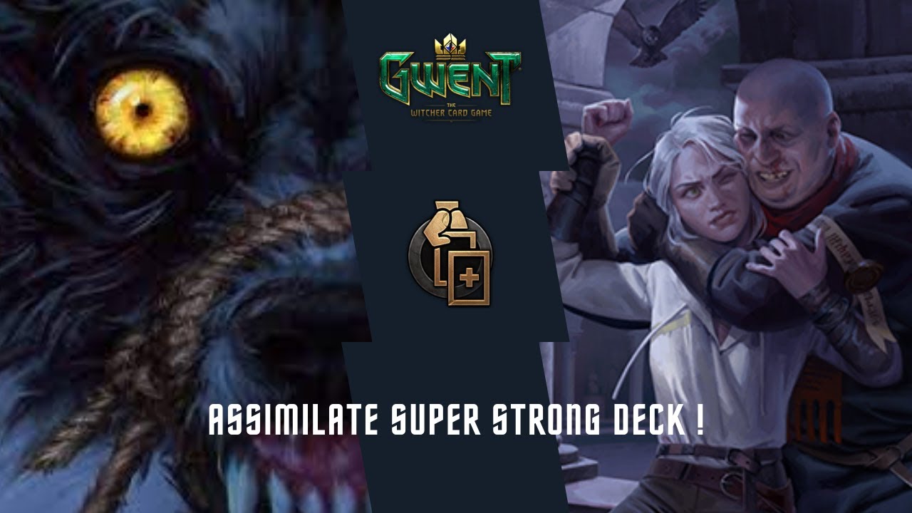 GWENT PRO RANK | Assimilate With Muzzle is So Good | Powerful and Has ...