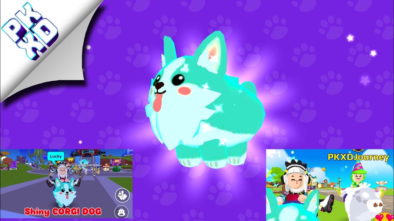 I GOT SHINY CORGI DOG || I leveled up 10 Corgi Dogs and Got....... 🤔 ...